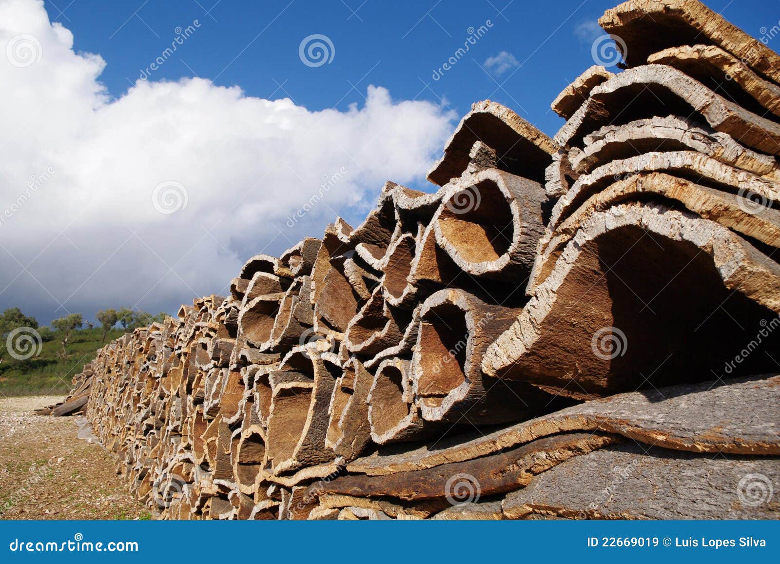 Stack of cork layers stock image. Image of winestopper - 22669019