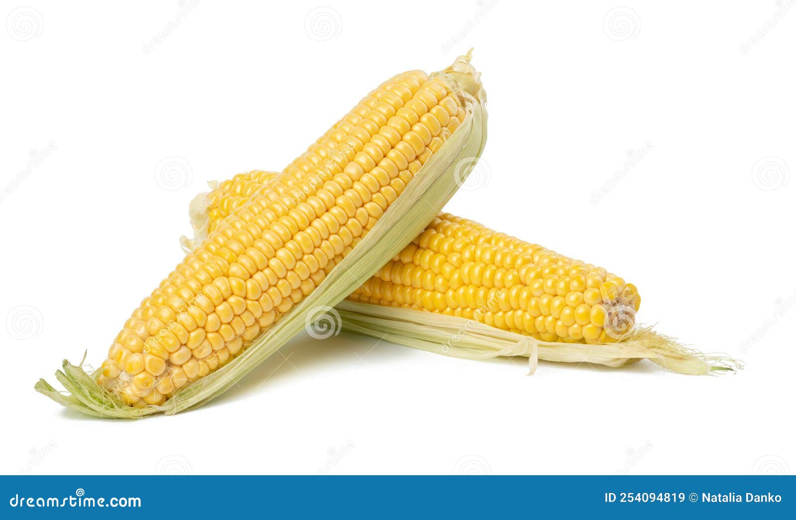Stack of Corn Cobs with Yellow Grains Isolated on White Background ...