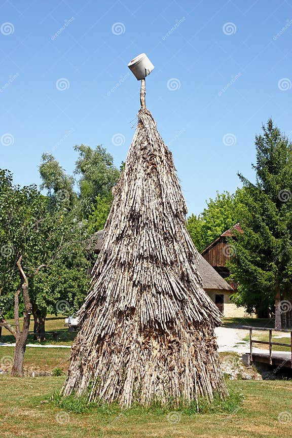 Stack of corn stalks stock photo. Image of dried, stack - 84960848