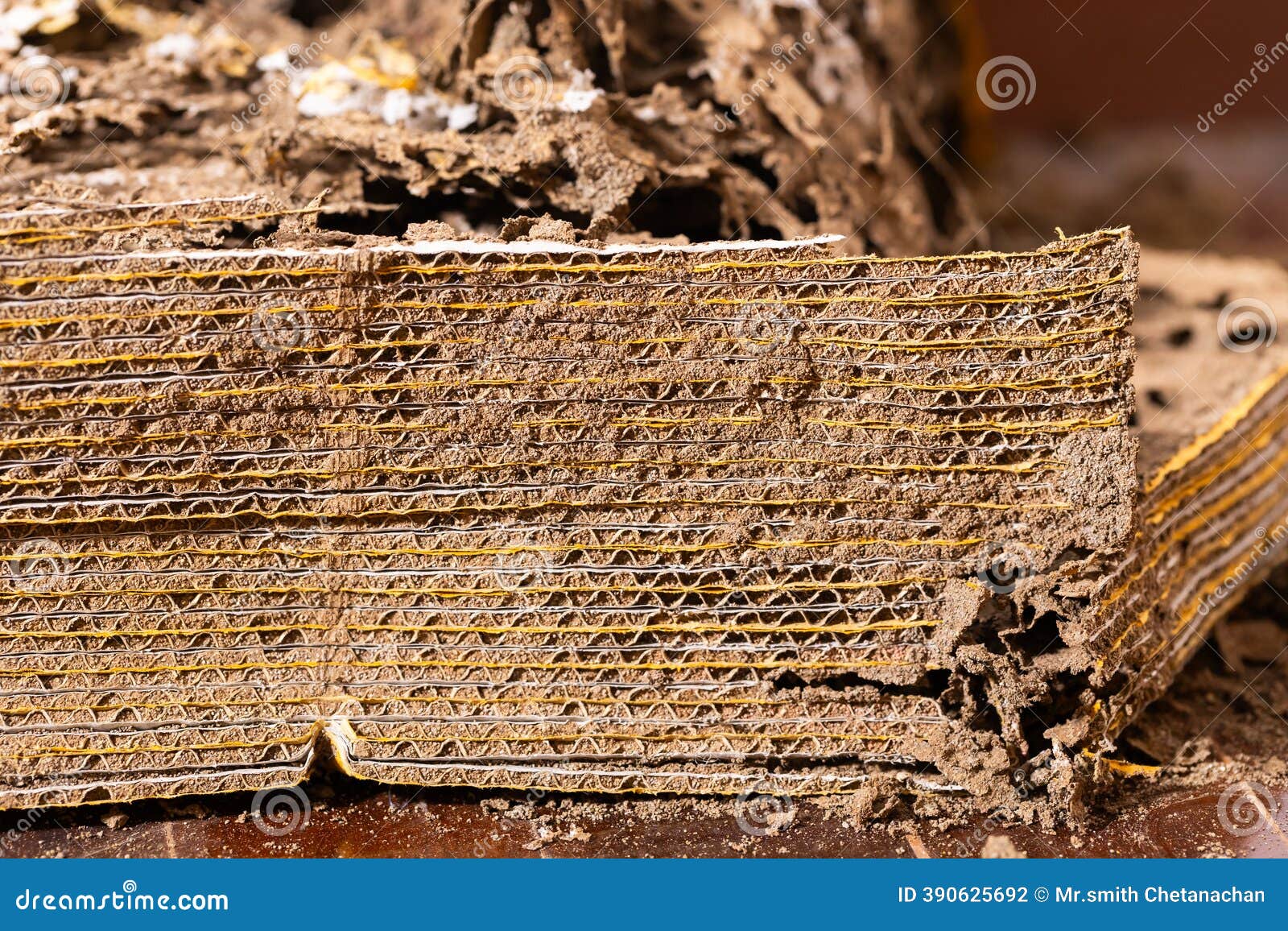 Corrugated Paper Texture Stock Photography | CartoonDealer.com #35352110