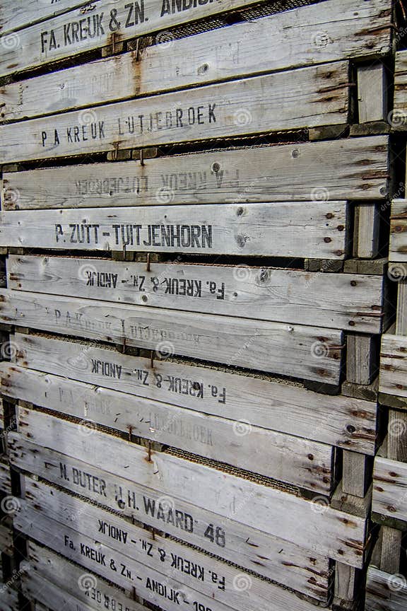 Stack of Crates Used for Flower Bulbs Editorial Photography - Image of ...