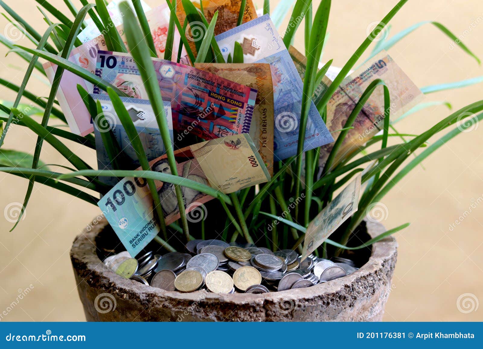 Stack of Currency Coin in Flower Pot with Green Leaf Plant Stock Image ...
