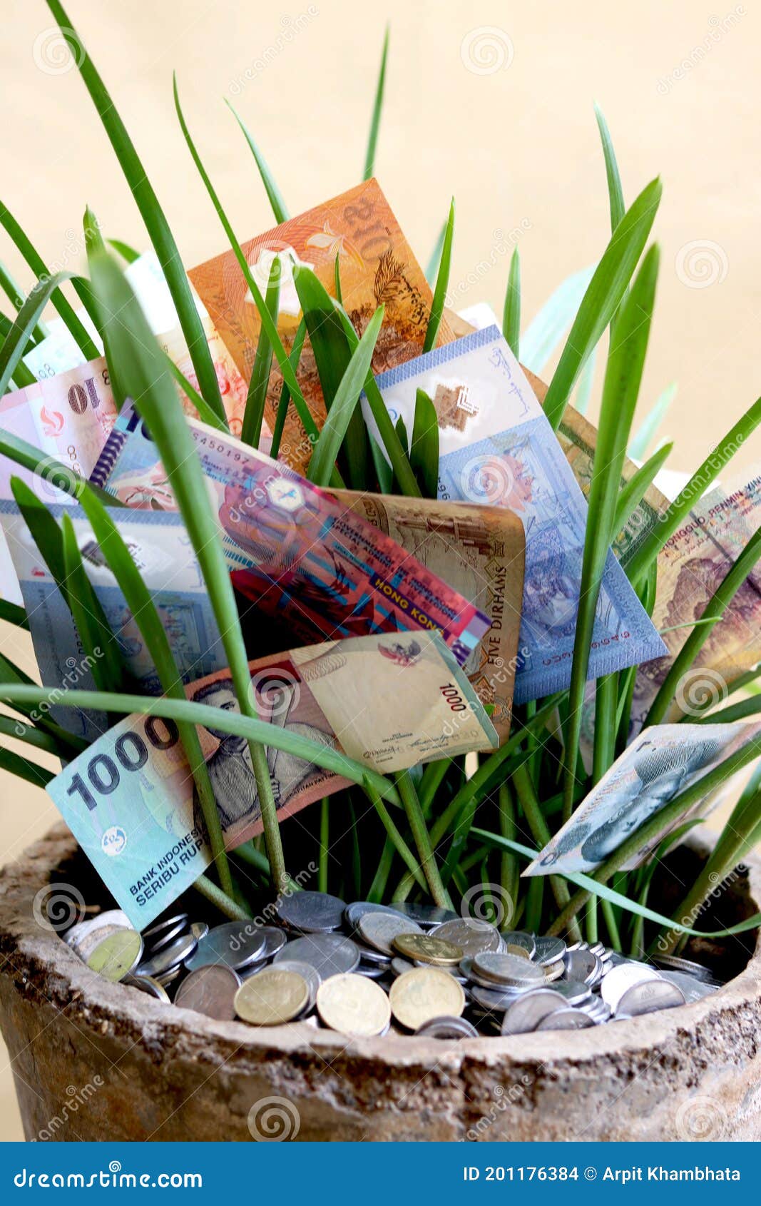 Stack of Currency Coin in Flower Pot with Green Leaf Plant Stock Photo ...