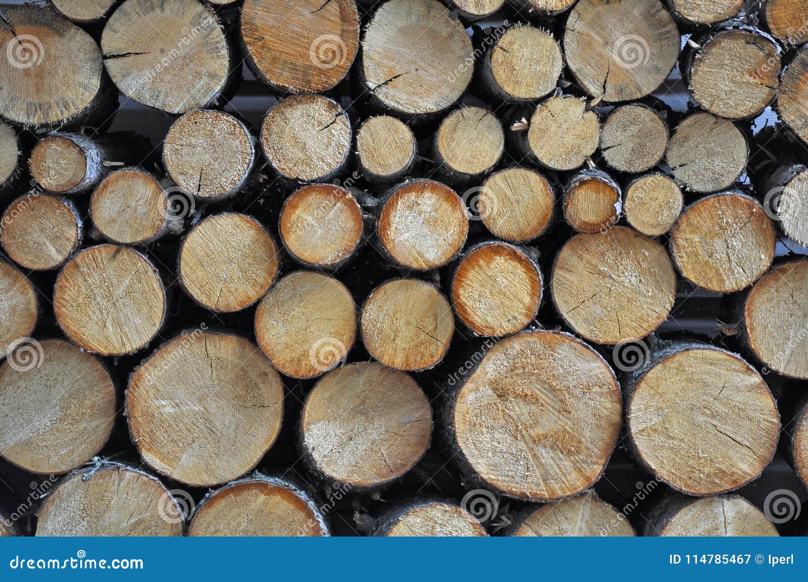 Stack of cut firewood stock image. Image of stack, camping - 114785467