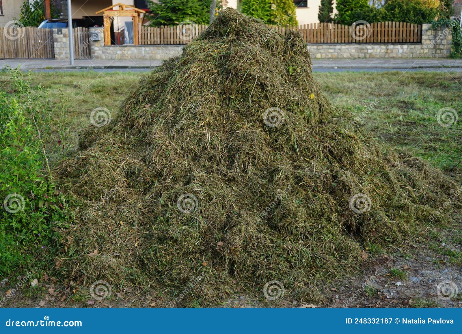Stack of Cut Grass after Mowing the Lawn on a Street in Berlin, Germany ...