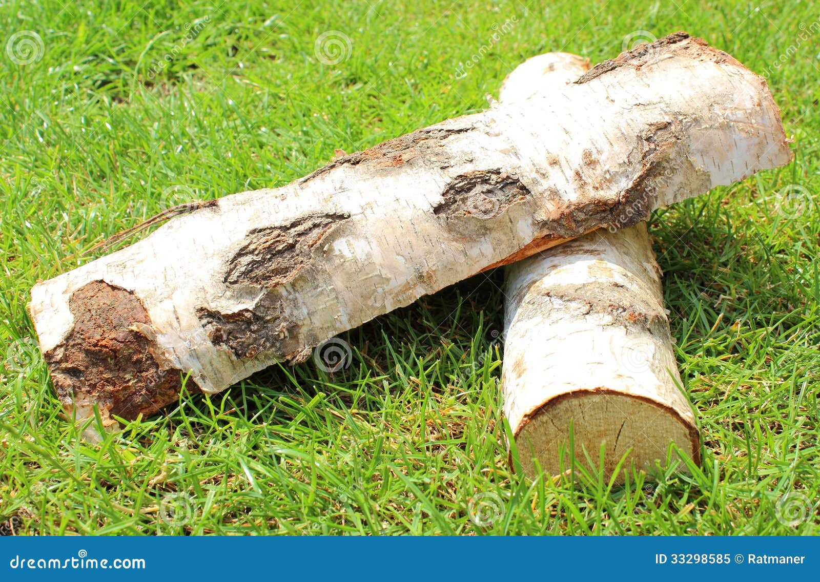 Stack of Cut Logs Firewood from Silver Birch Tree Stock Image - Image ...