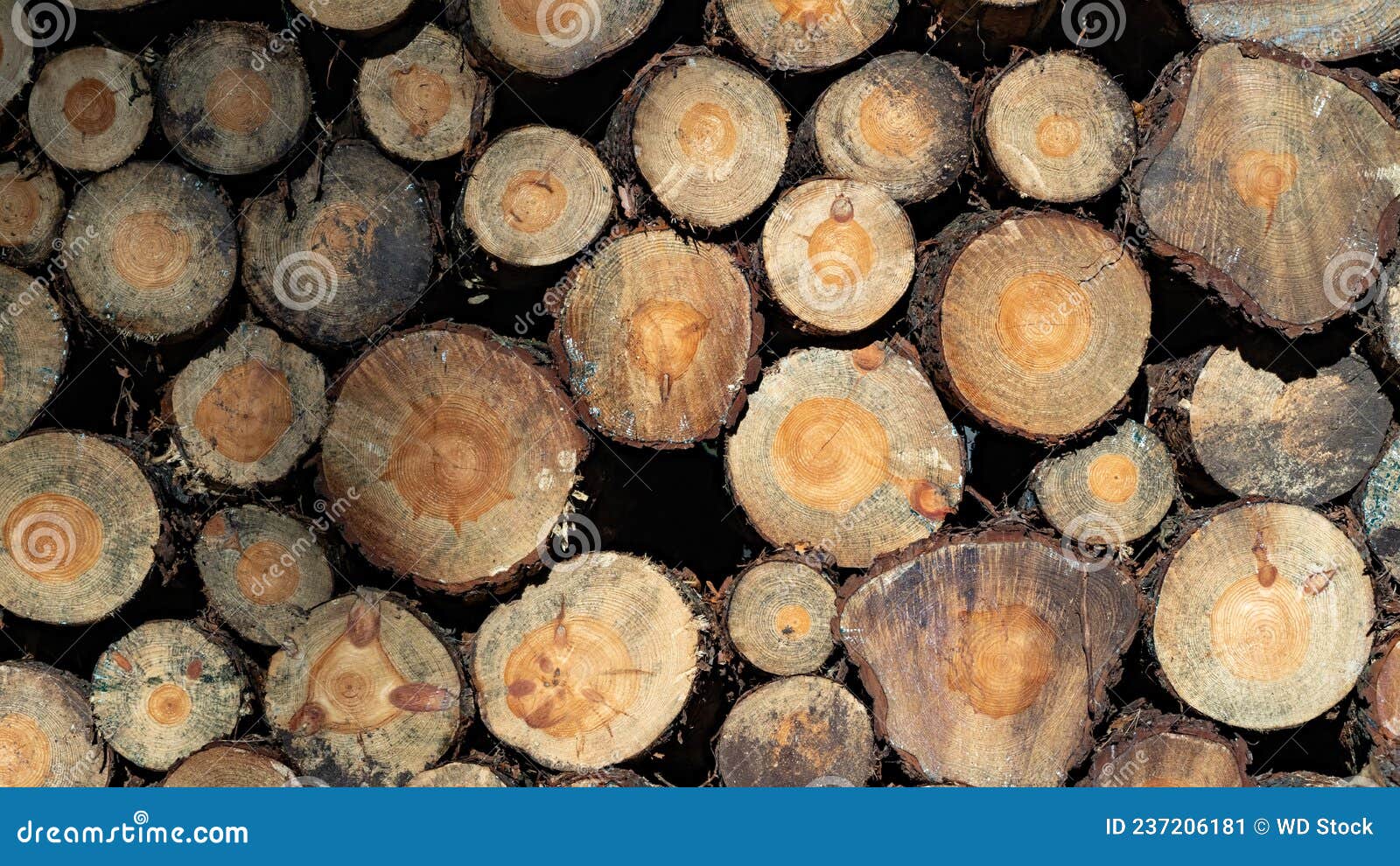 Stack of Cut Lumber Piled Together Stock Image - Image of texture ...