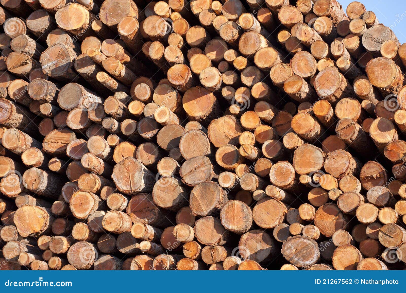 Stack of cut lumber wood stock photo. Image of timber - 21267562