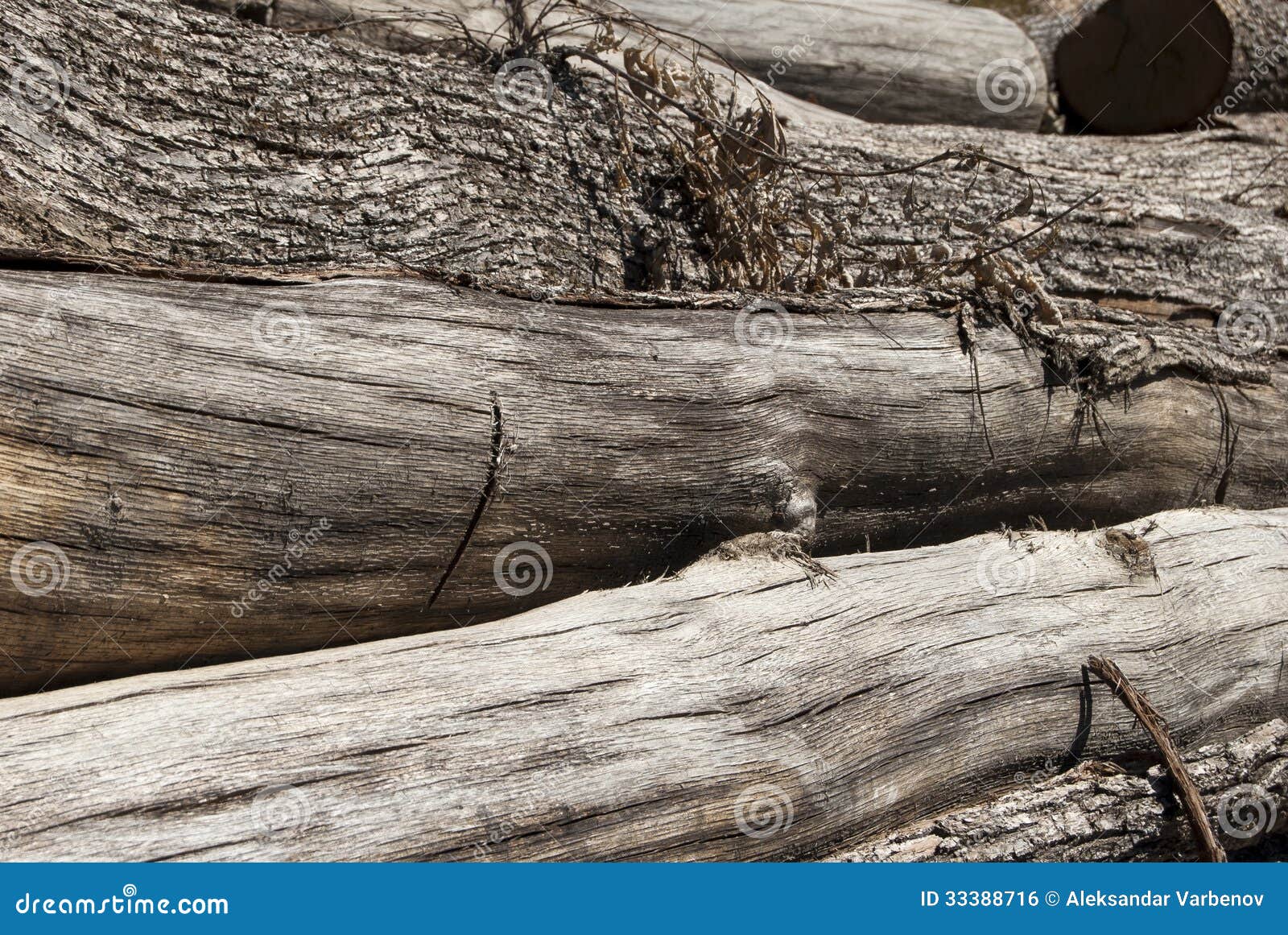 Stack of cut oak logs stock photo. Image of logs, stack - 33388716