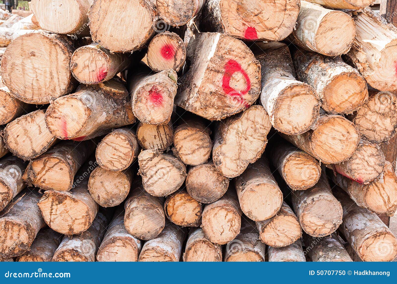 Stack of cut rubber tree stock photo. Image of brown - 50707750