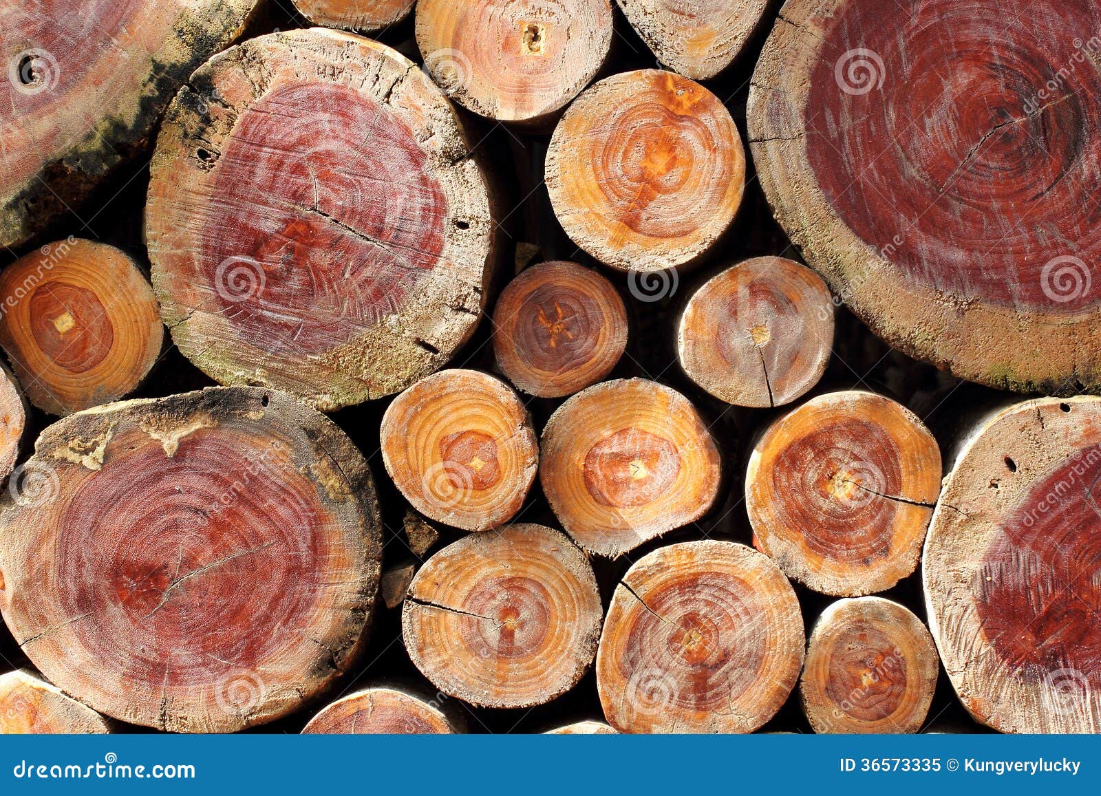 Stack of cut timber logs stock image. Image of structure - 36573335