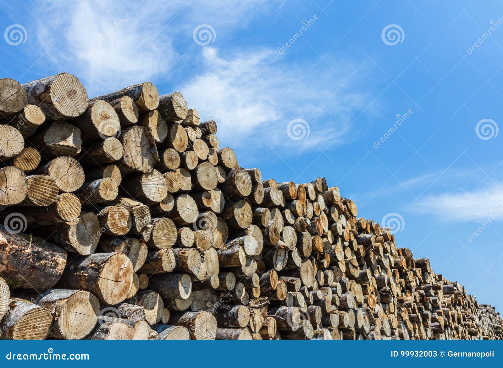 Stack of cut timber stock image. Image of ecology, forest - 99932003