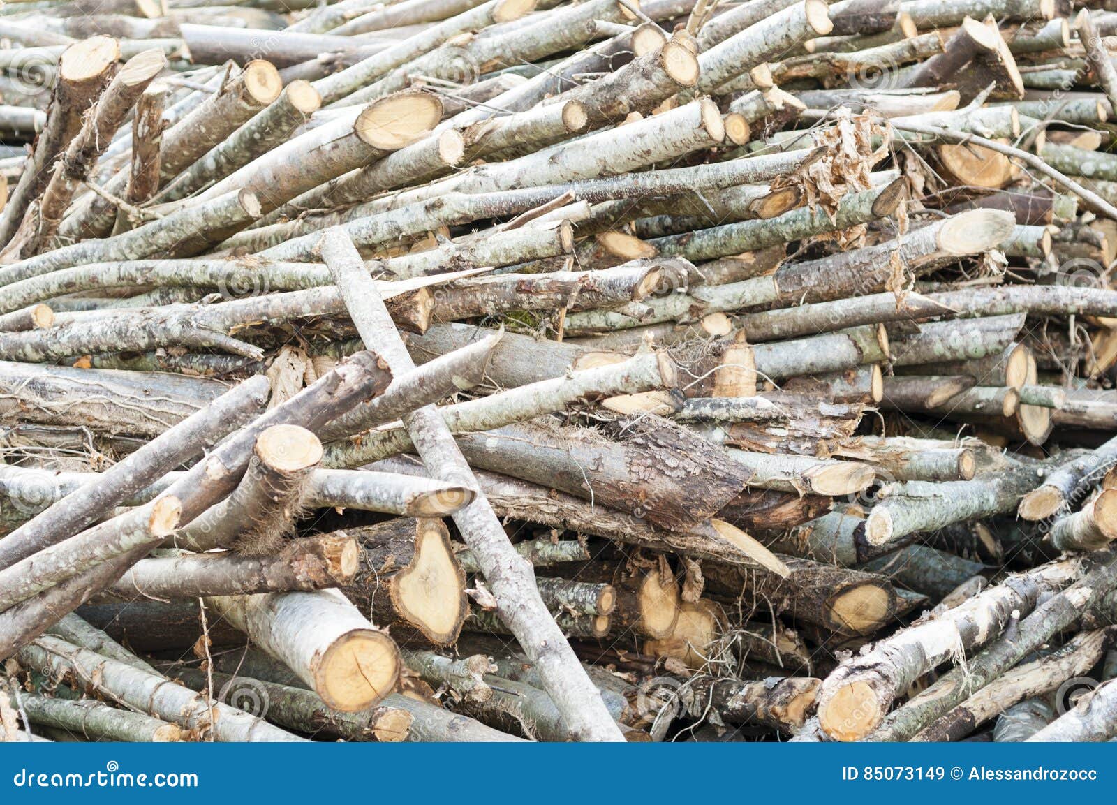 Stack of cut tree branches stock image. Image of woodpile - 85073149