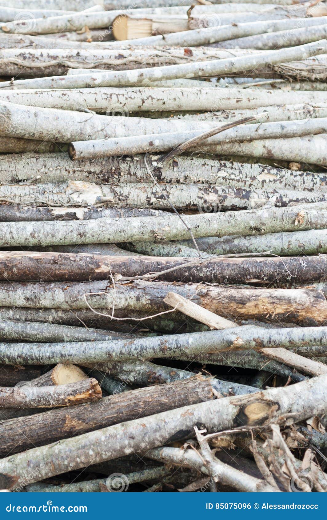 Stack of cut tree branches stock photo. Image of background - 85075096