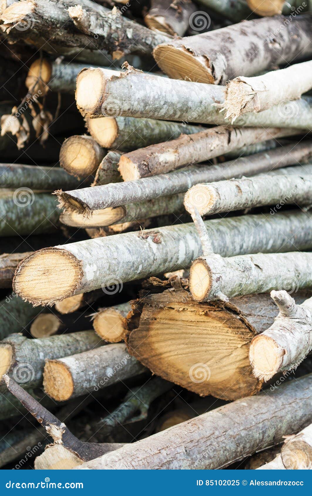 Stack of cut tree branches stock image. Image of pattern - 85102025