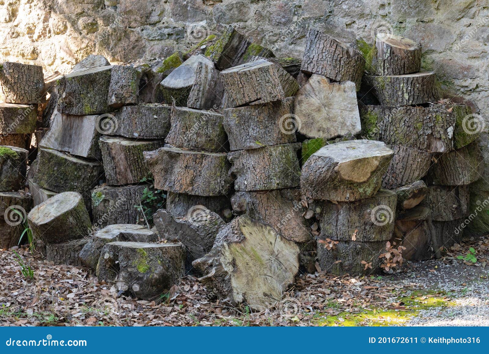 Stack of cut tree stumps stock image. Image of wall - 201672611