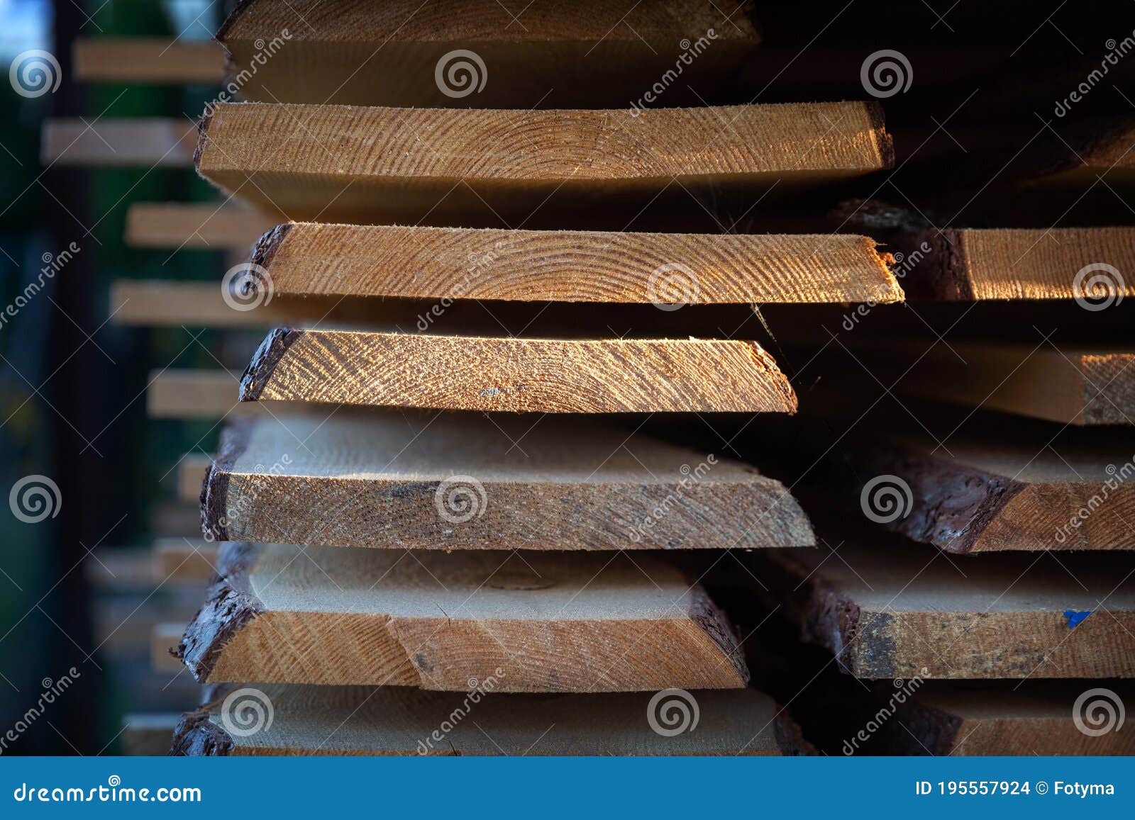 Stack of cut wood stock photo. Image of board, timber - 195557924