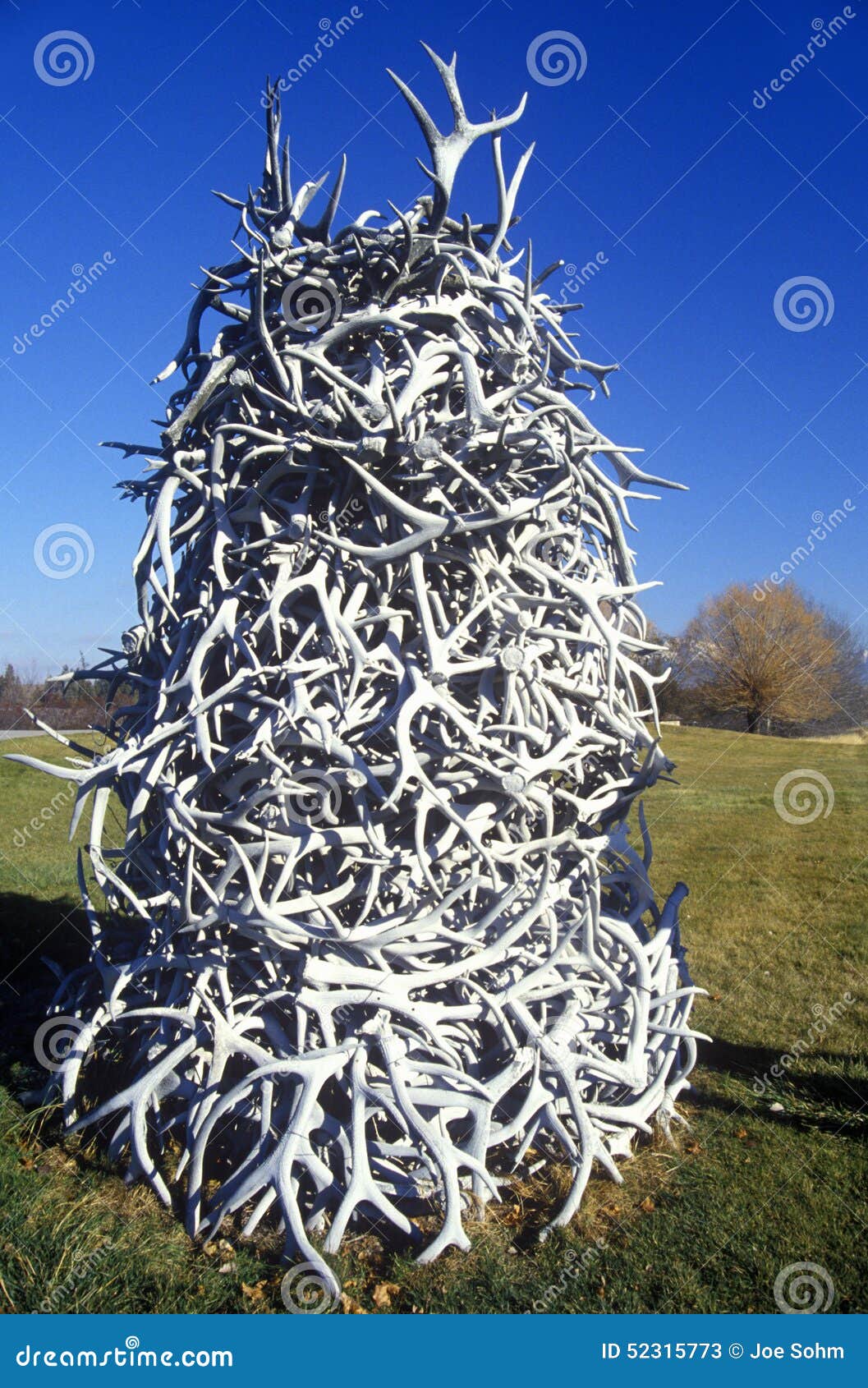 Stack of Deer and Elk Horns, MT Stock Image - Image of stack, north ...