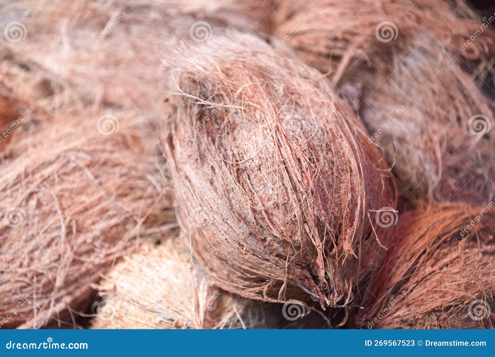 Stack of Dehusked Coconuts on a Market Stall Stock Image - Image of ...