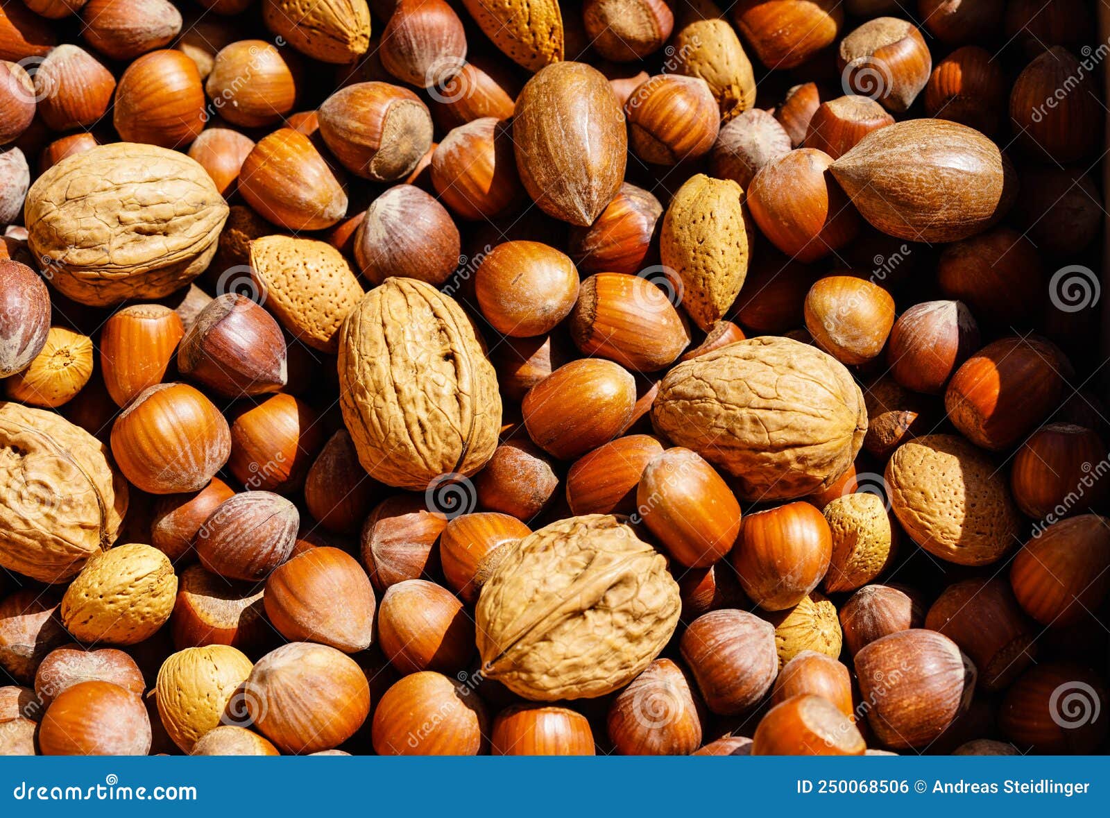 Stack of nuts stock photo. Image of assortment, kernels - 250068506