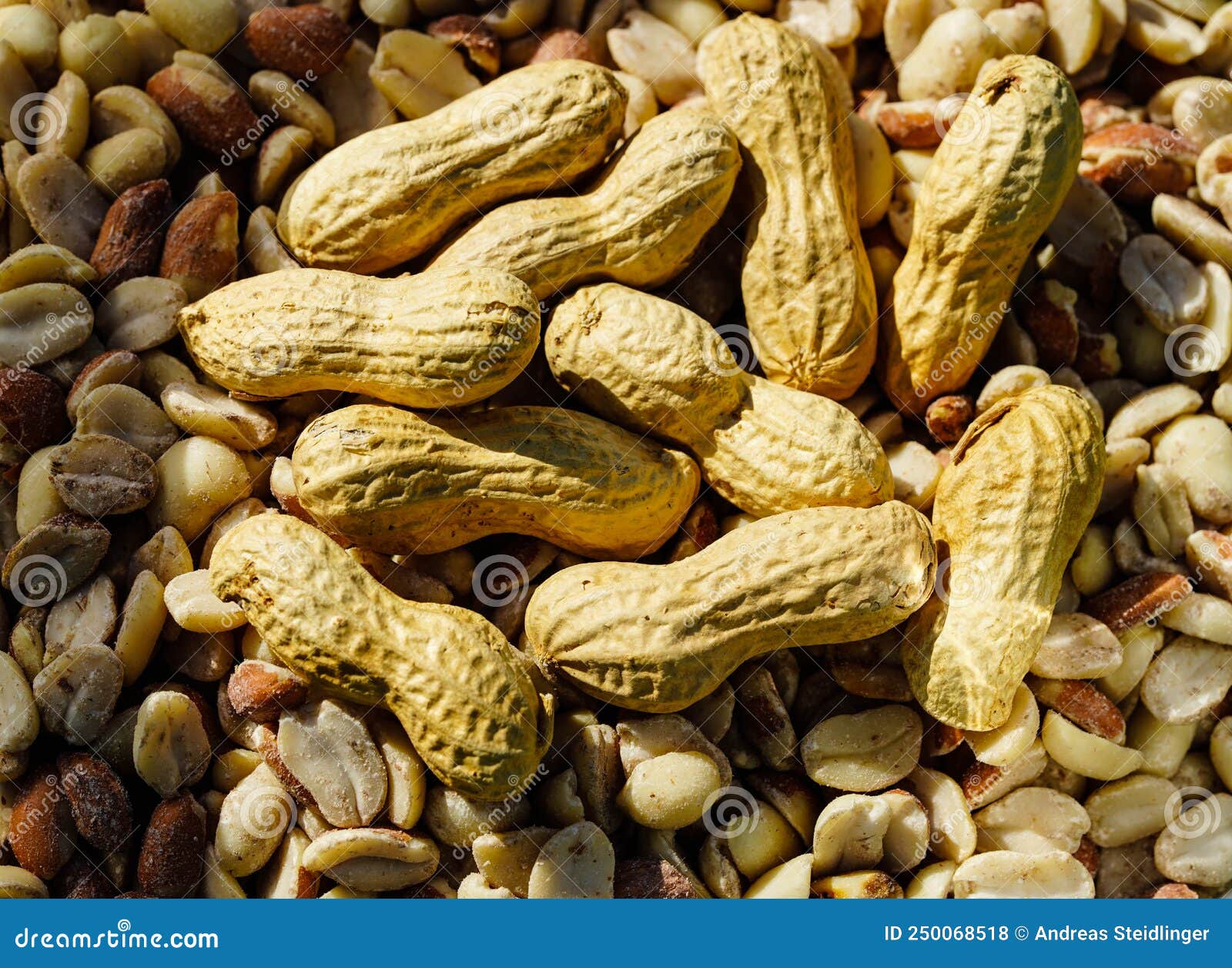 Stack of nuts stock photo. Image of hasel, branch, healthy - 250068518