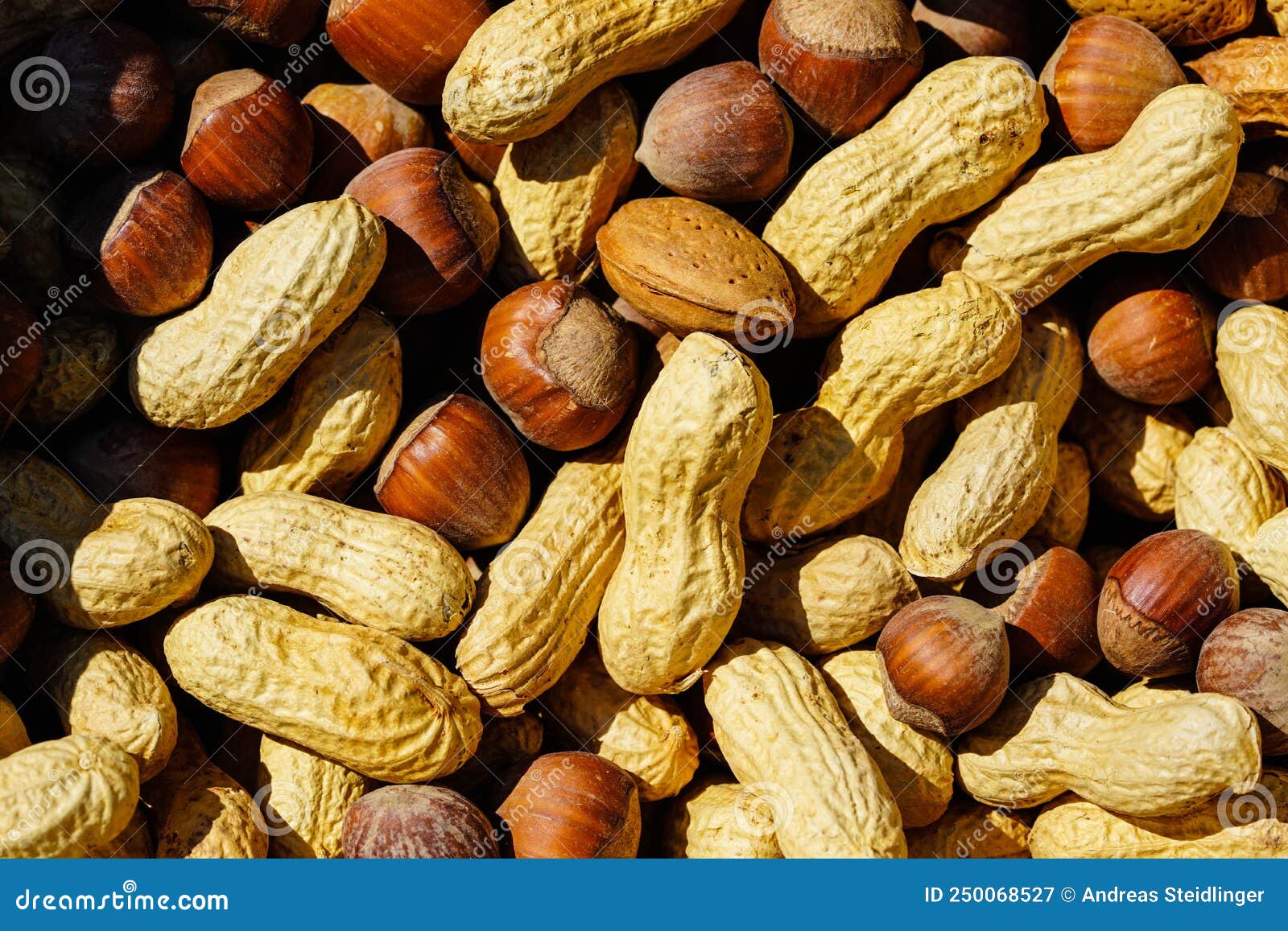 Stack of nuts stock image. Image of fruits, autumn, cracker - 250068527