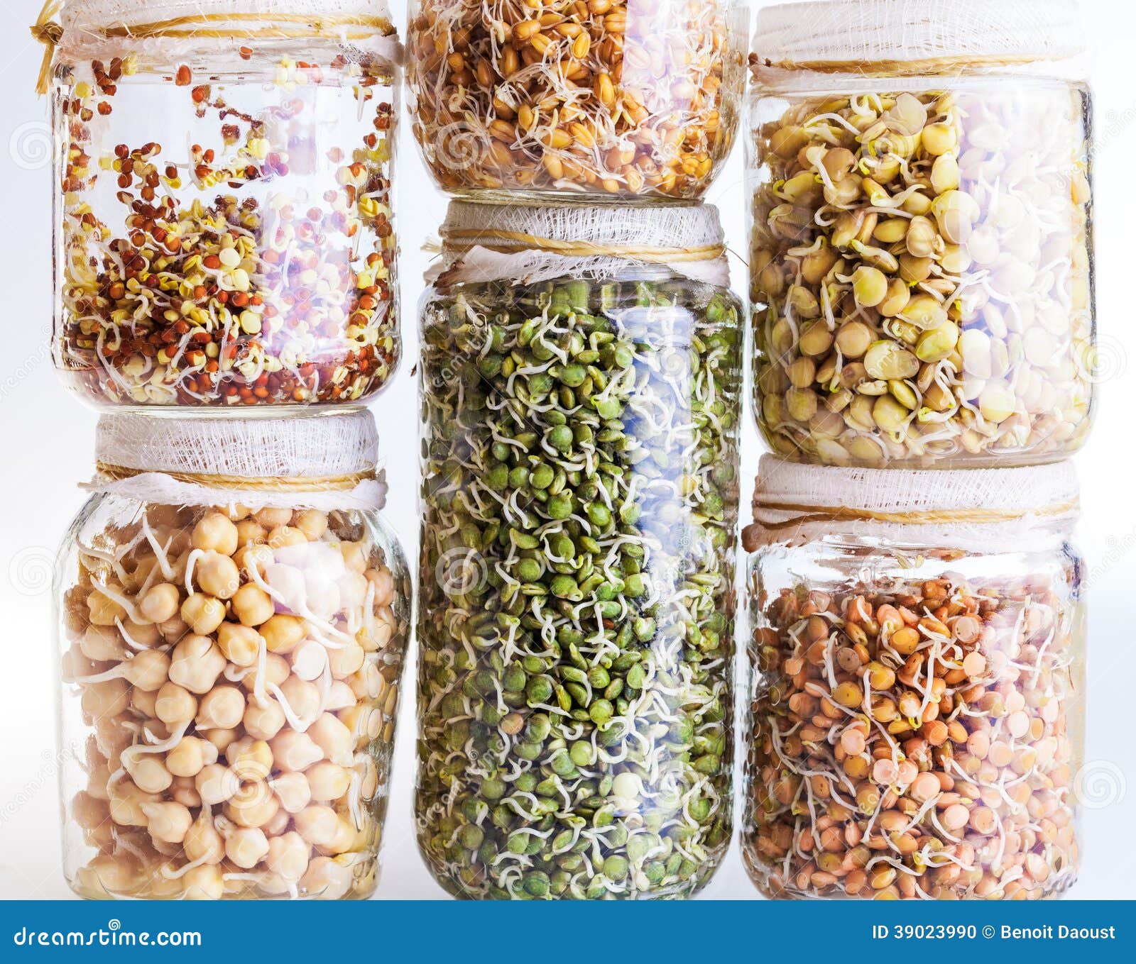 Stack of Different Sprouting Seeds Growing in a Glass Jar Stock Photo ...