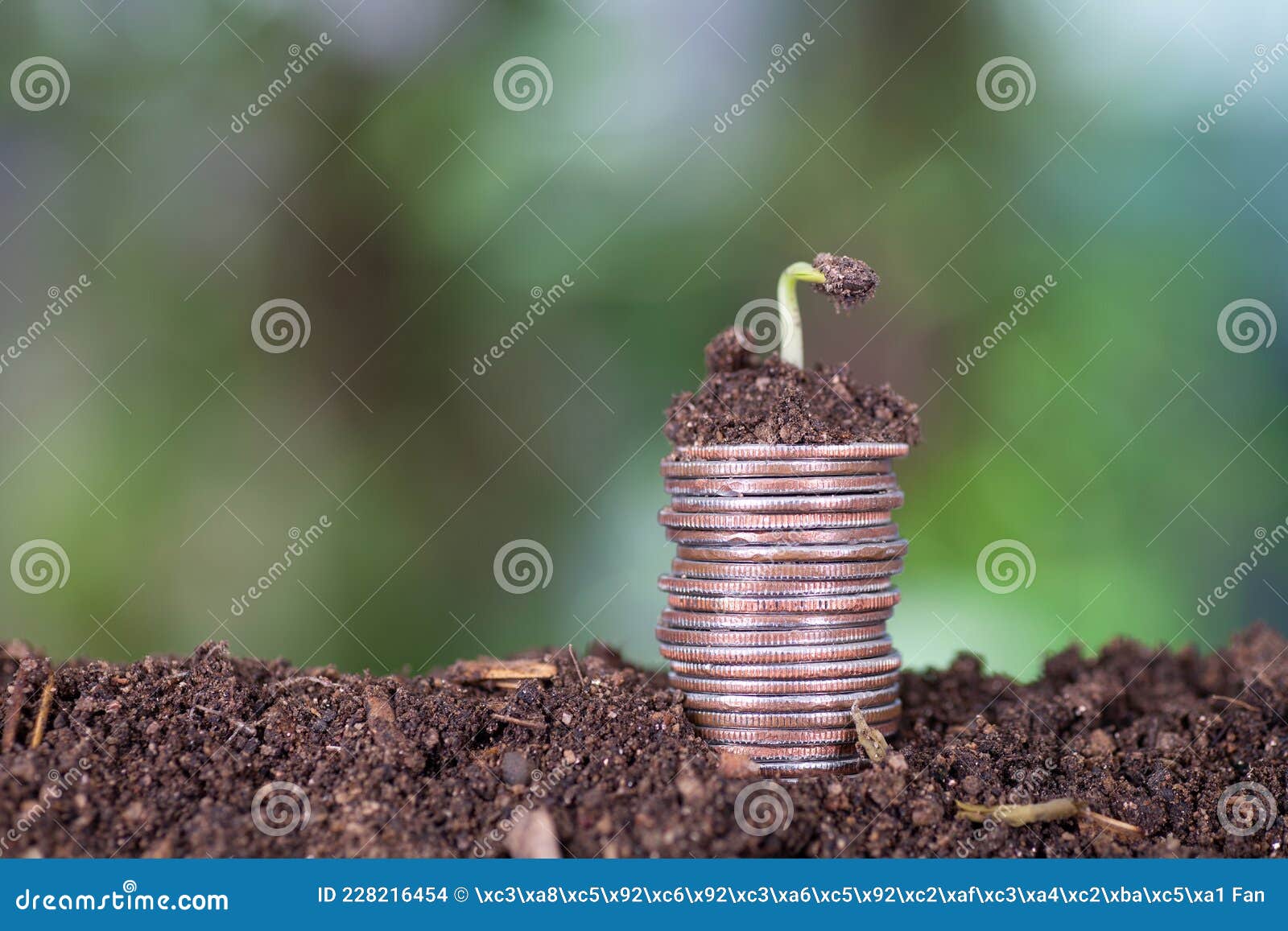 A Stack of Dollar Coins on the Soil and a Sprout from the Coin Stock ...