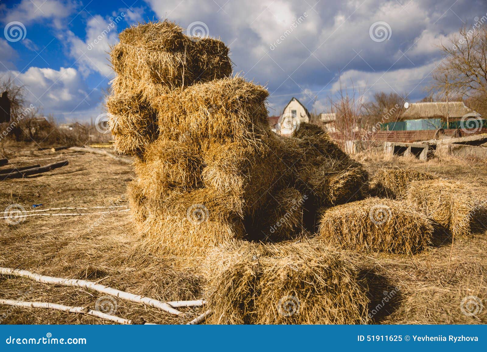 Stack of dried hay on farm stock image. Image of nature - 51911625