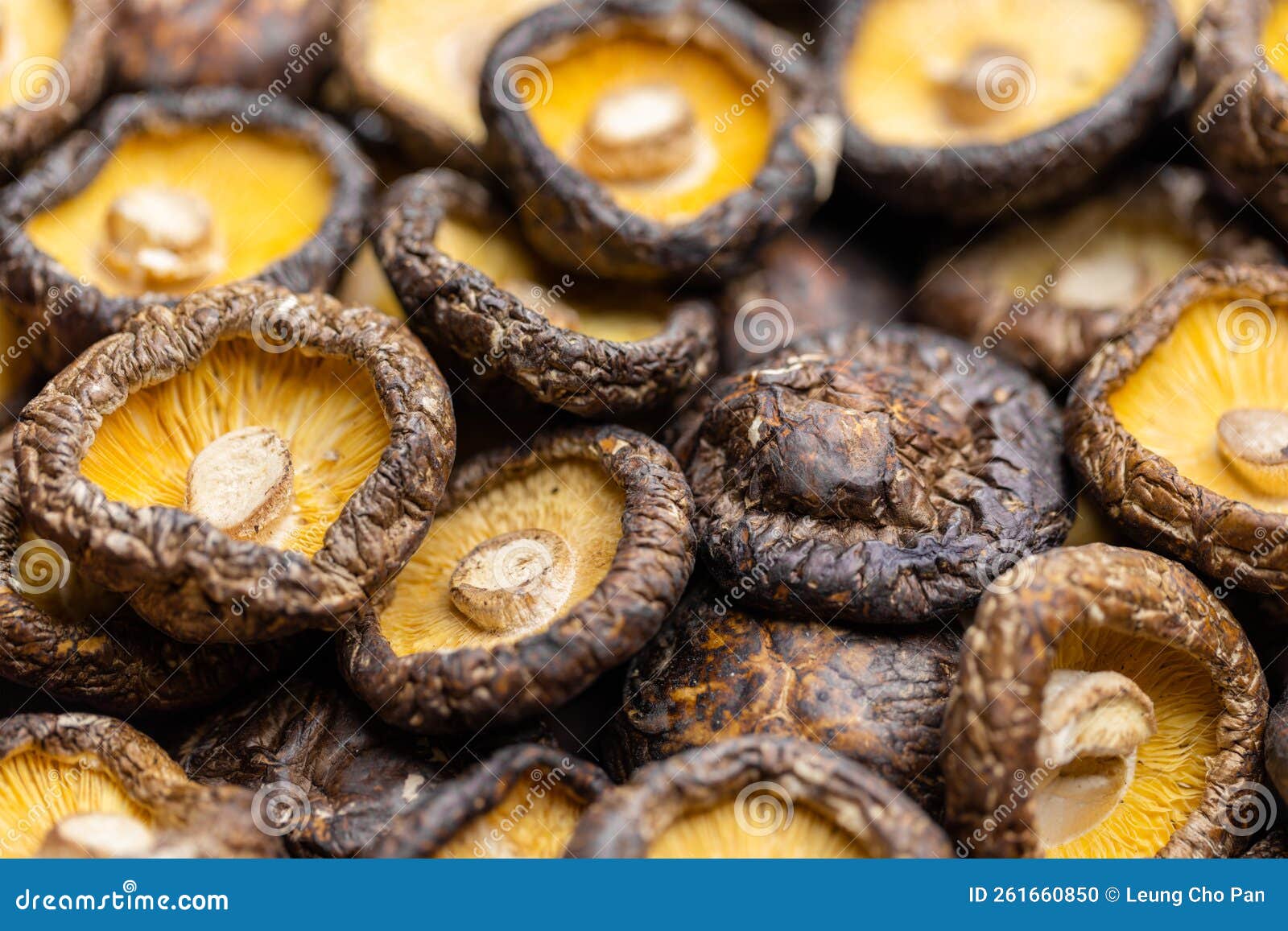 Stack of Dried Shiitake Mushroom Stock Photo - Image of fungus, gourmet ...