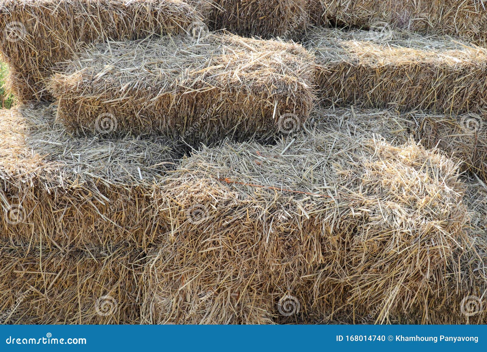 Stack of Dried Straw. Bale of Hay with Selective Focus Stock Photo ...