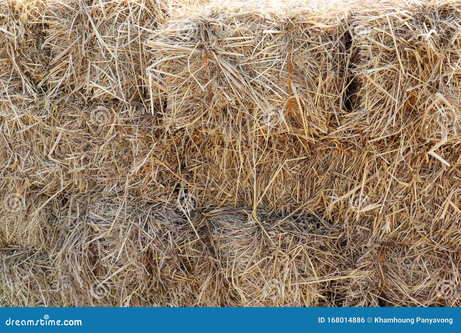 Stack of Dried Straw. Bale of Hay with Selective Focus Stock Photo ...