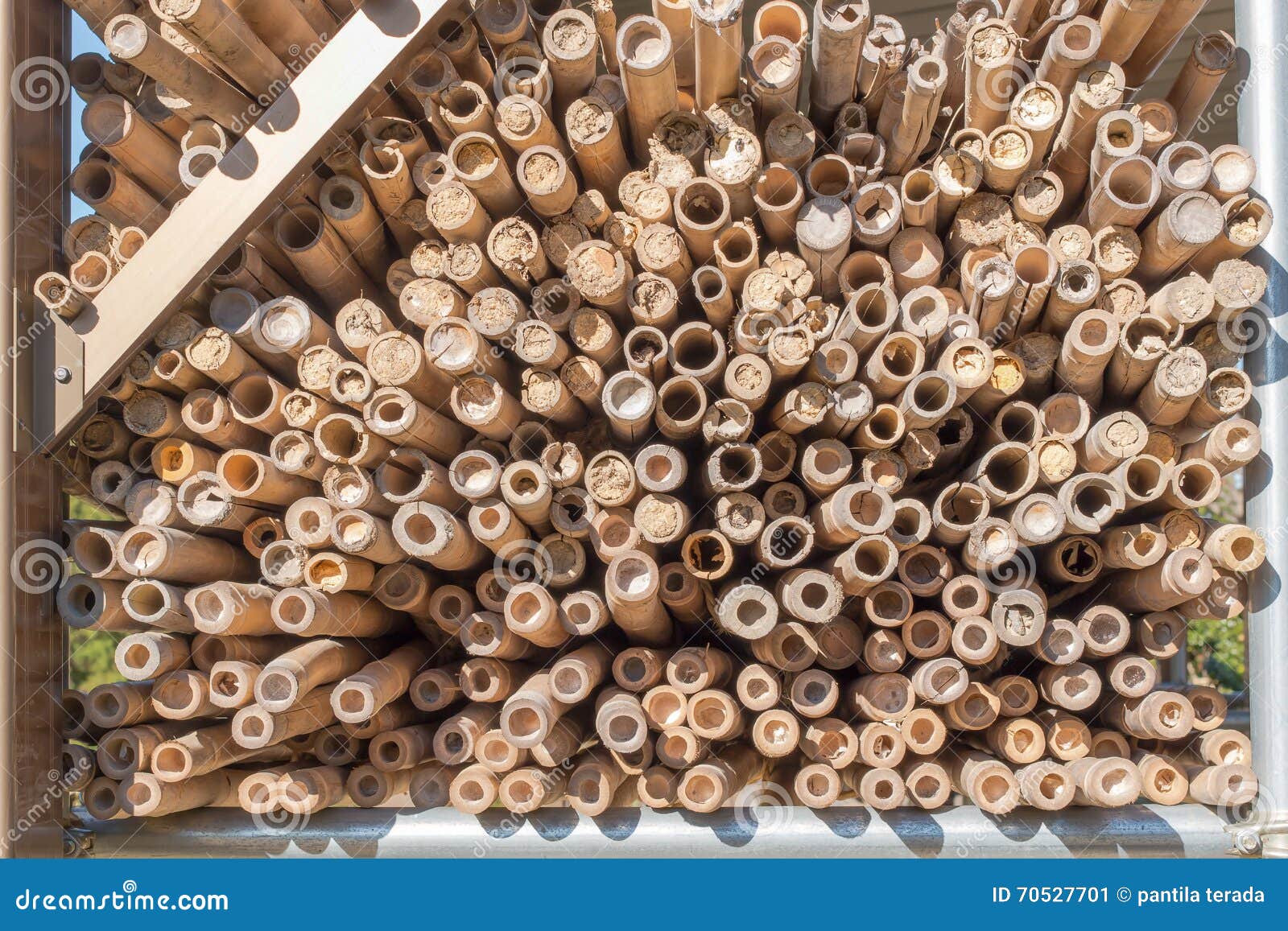 Stack Of Dry Bamboo For Background Royalty-Free Stock Photography ...