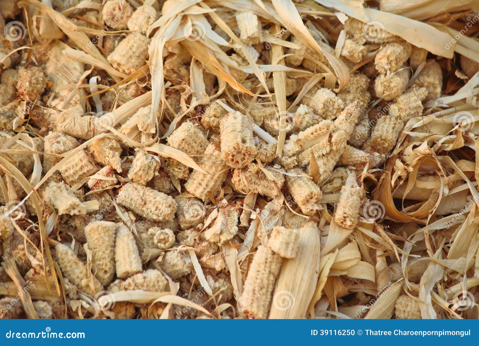 Stack of Dry Corncobs and Corn Leaves Stock Photo - Image of corncob ...