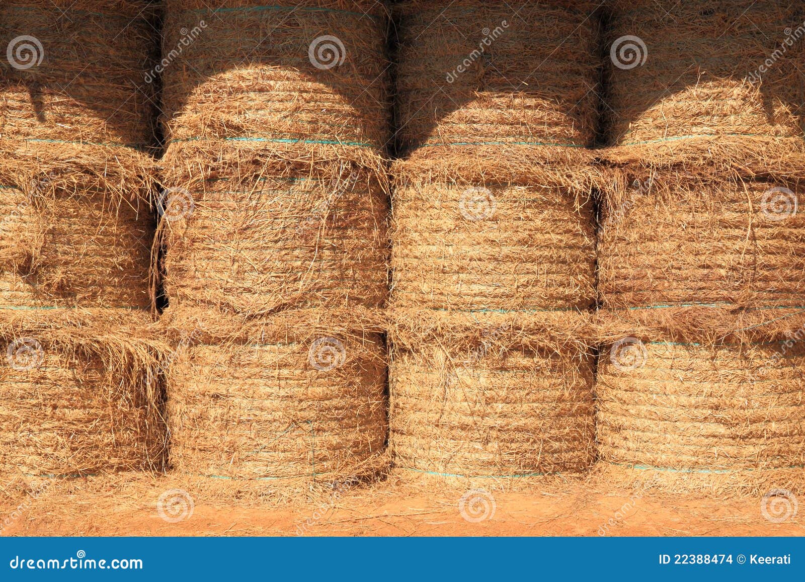 Stack dry hay in barn stock photo. Image of texture, summer - 22388474