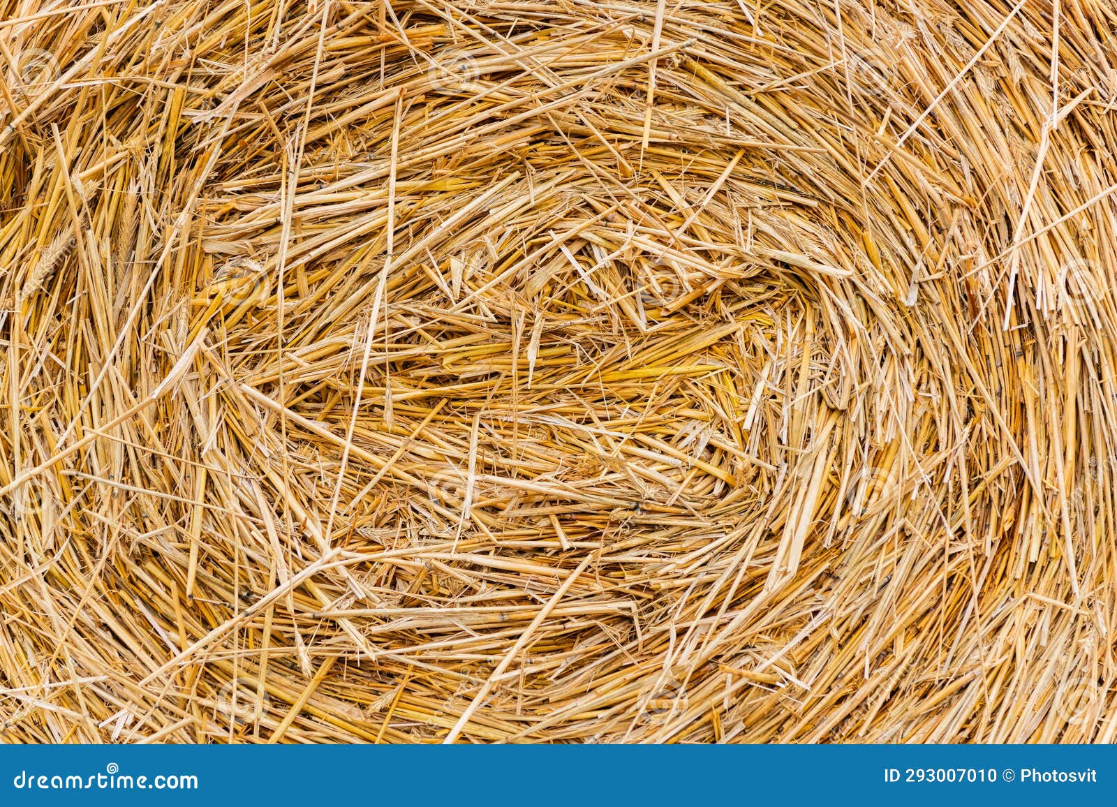 Stack Dry Hay. Hay Texture. Hay Bale is Stacked in Large Stack. Rural ...