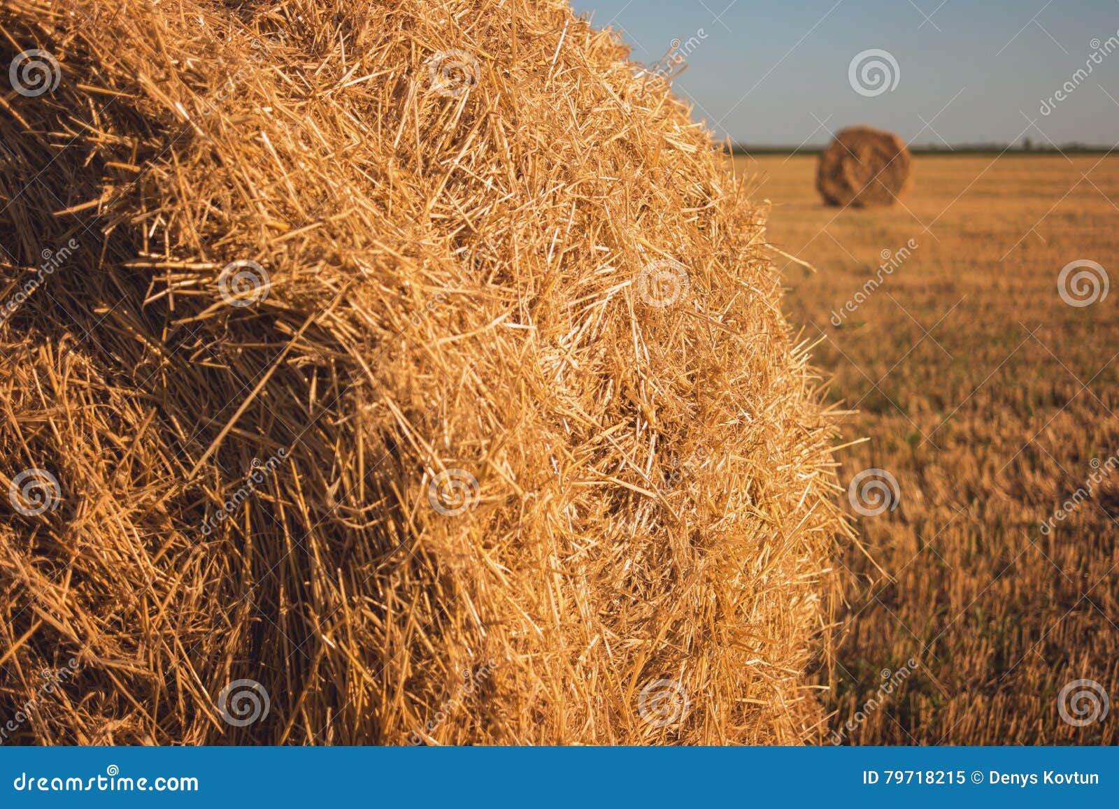Stack of dry hay. stock image. Image of cherish, growth - 79718215