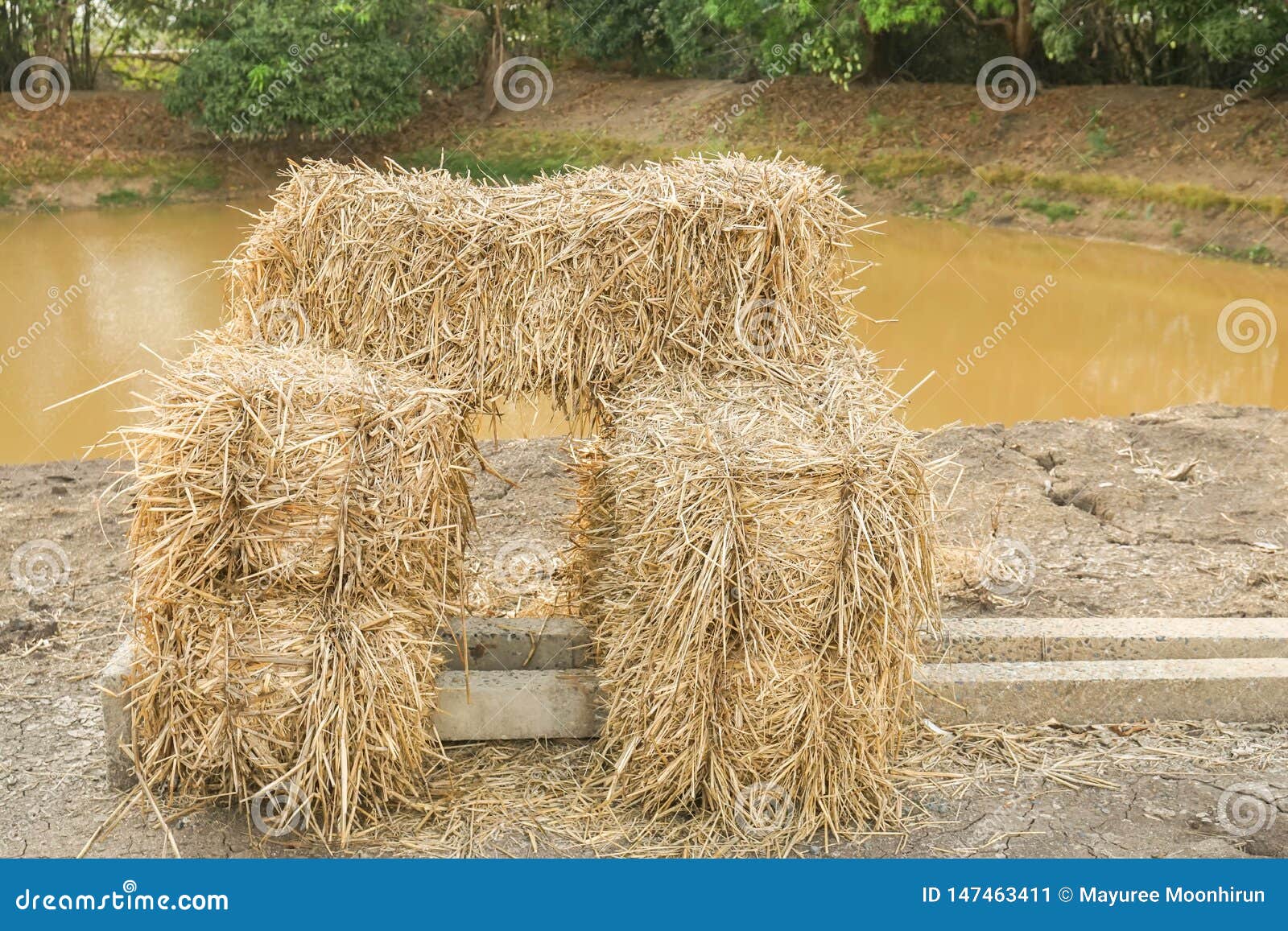 Stack of Dry Rice Straw in Farm Stock Image - Image of field, farmland ...