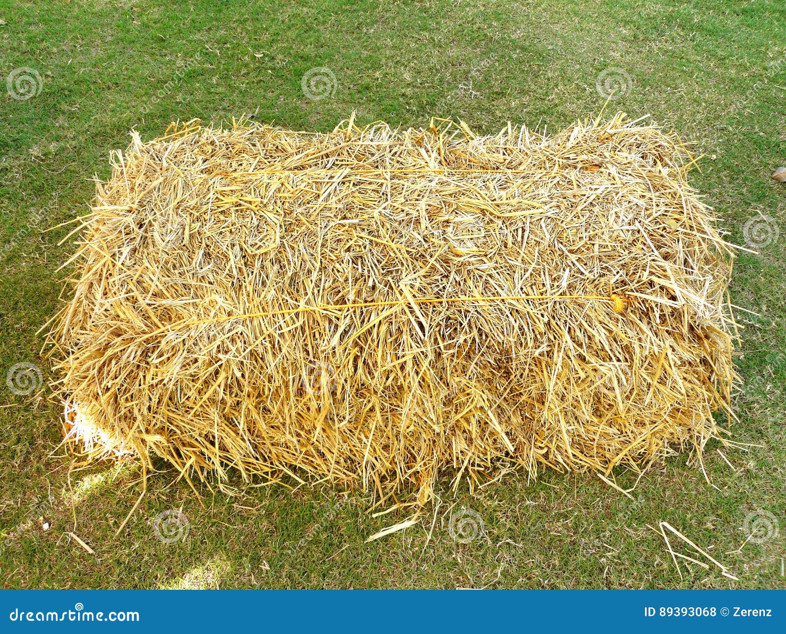 Stack of dry straw or hay stock photo. Image of color - 89393068