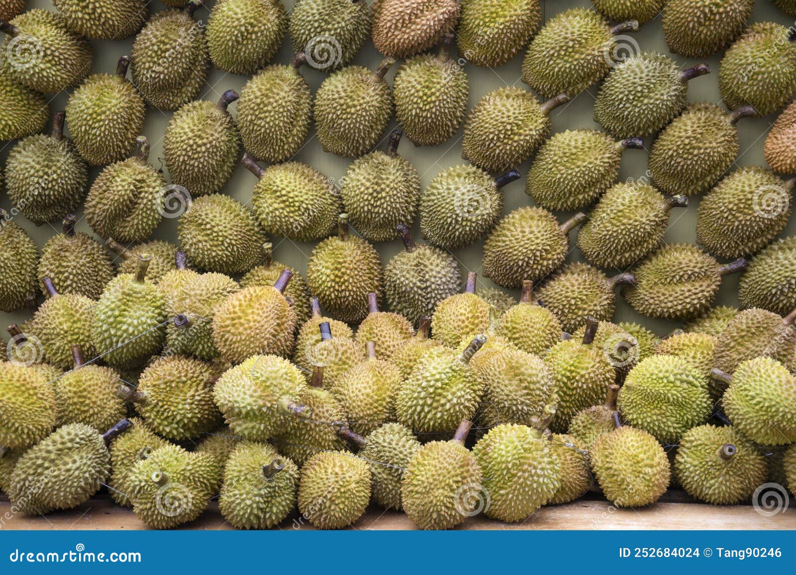 Stack of Durians at a Fresh Market Stock Photo - Image of harvest ...