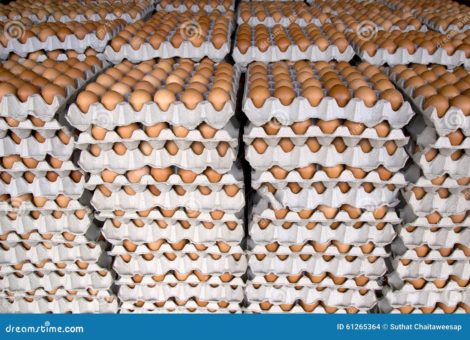 Stack of eggs stock photo. Image of container, stack - 61265364