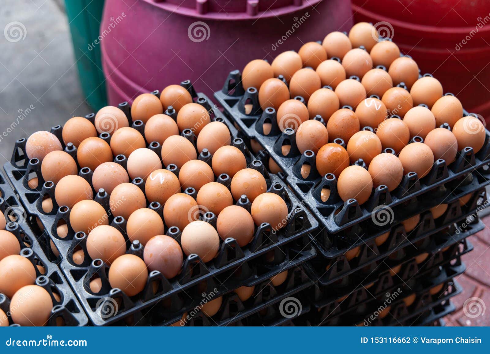 Stack of Eggs in Tray for Sale Stock Photo - Image of ingredient, food ...