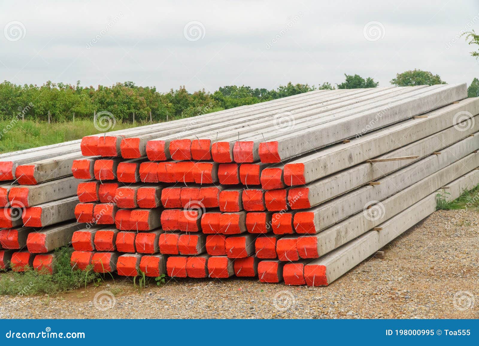 Stack of Electrical Concrete Poles Stock Image - Image of ground ...