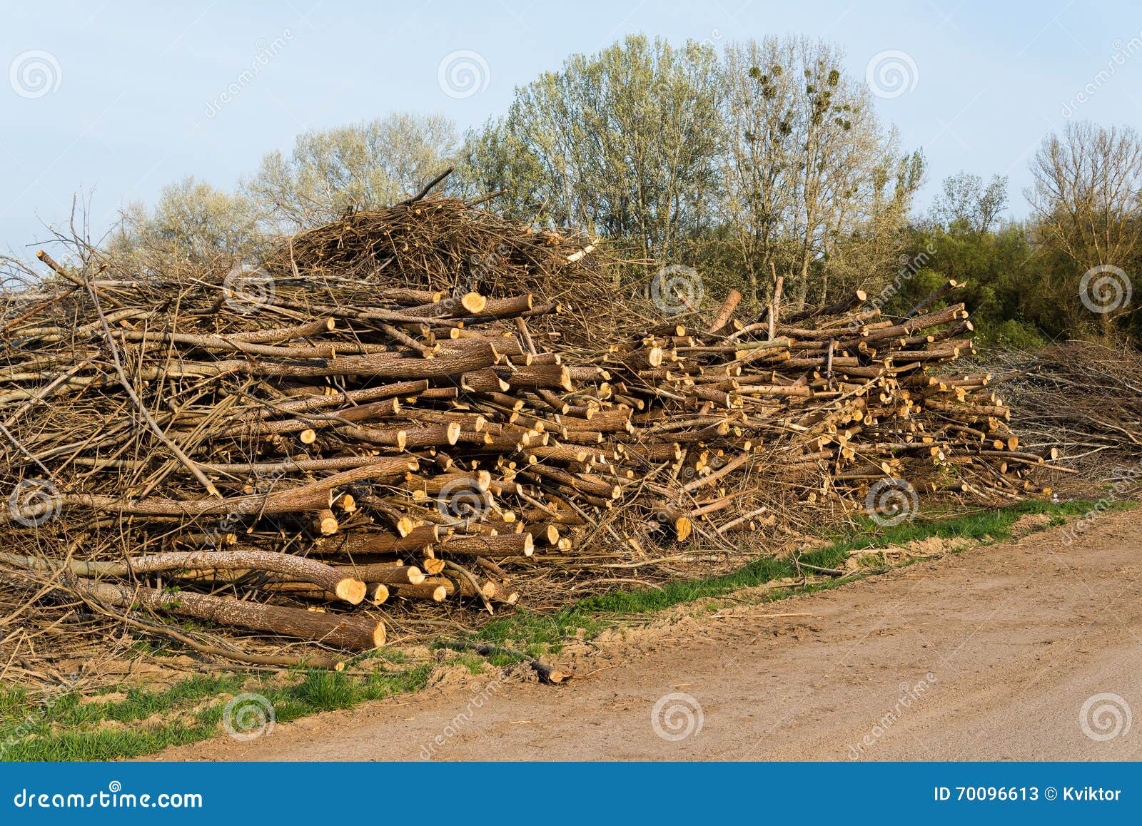 Stack of felled trees stock image. Image of birch, felling - 70096613