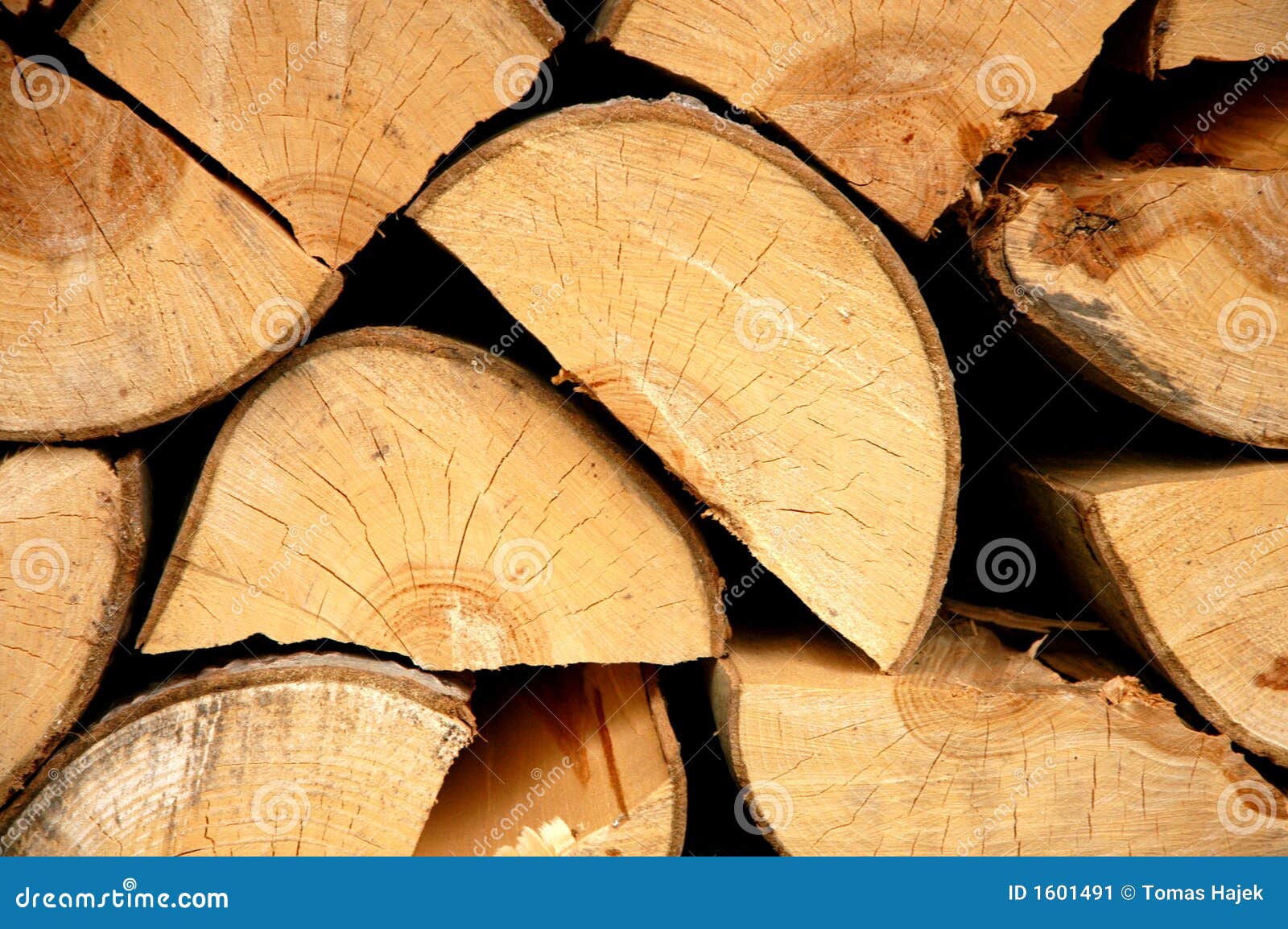 Stack with fire wood stock image. Image of firewood, forestry - 1601491