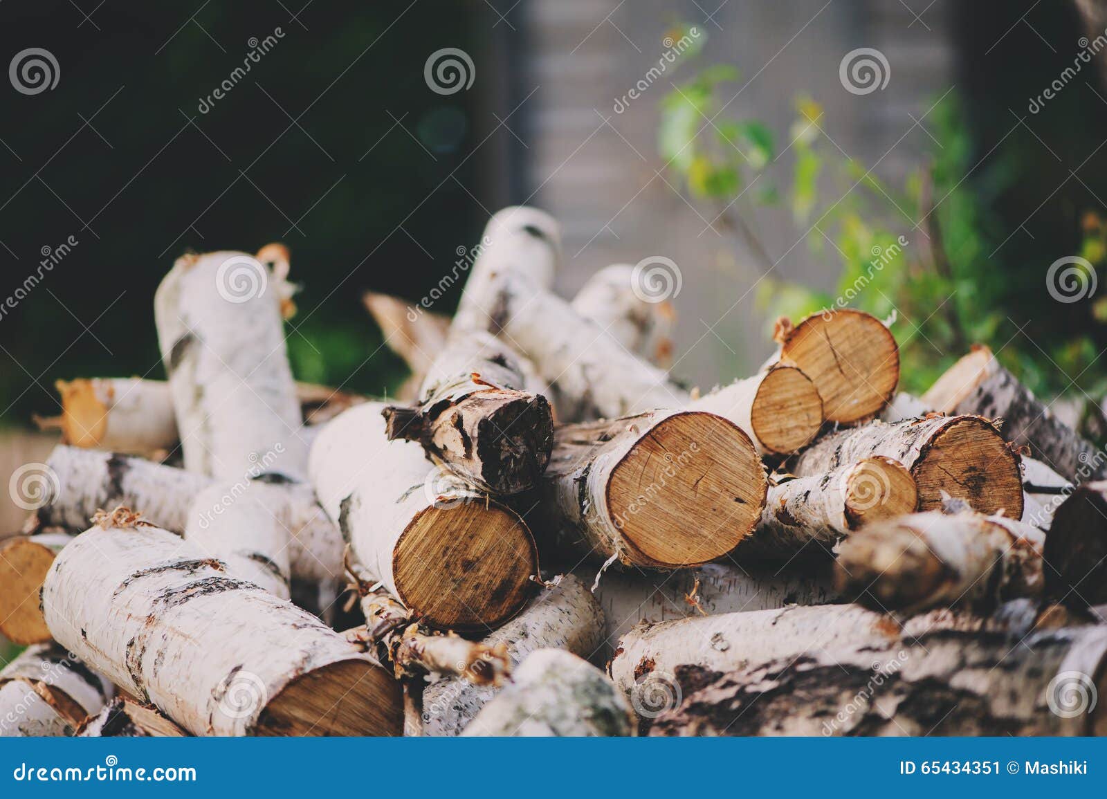 Stack of Fire Wood Cut of Birch in Summer, Nature and Forest Care ...