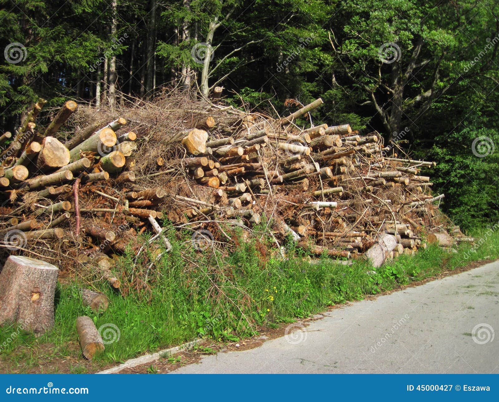 Stack of firewood stock image. Image of economy, fire - 45000427