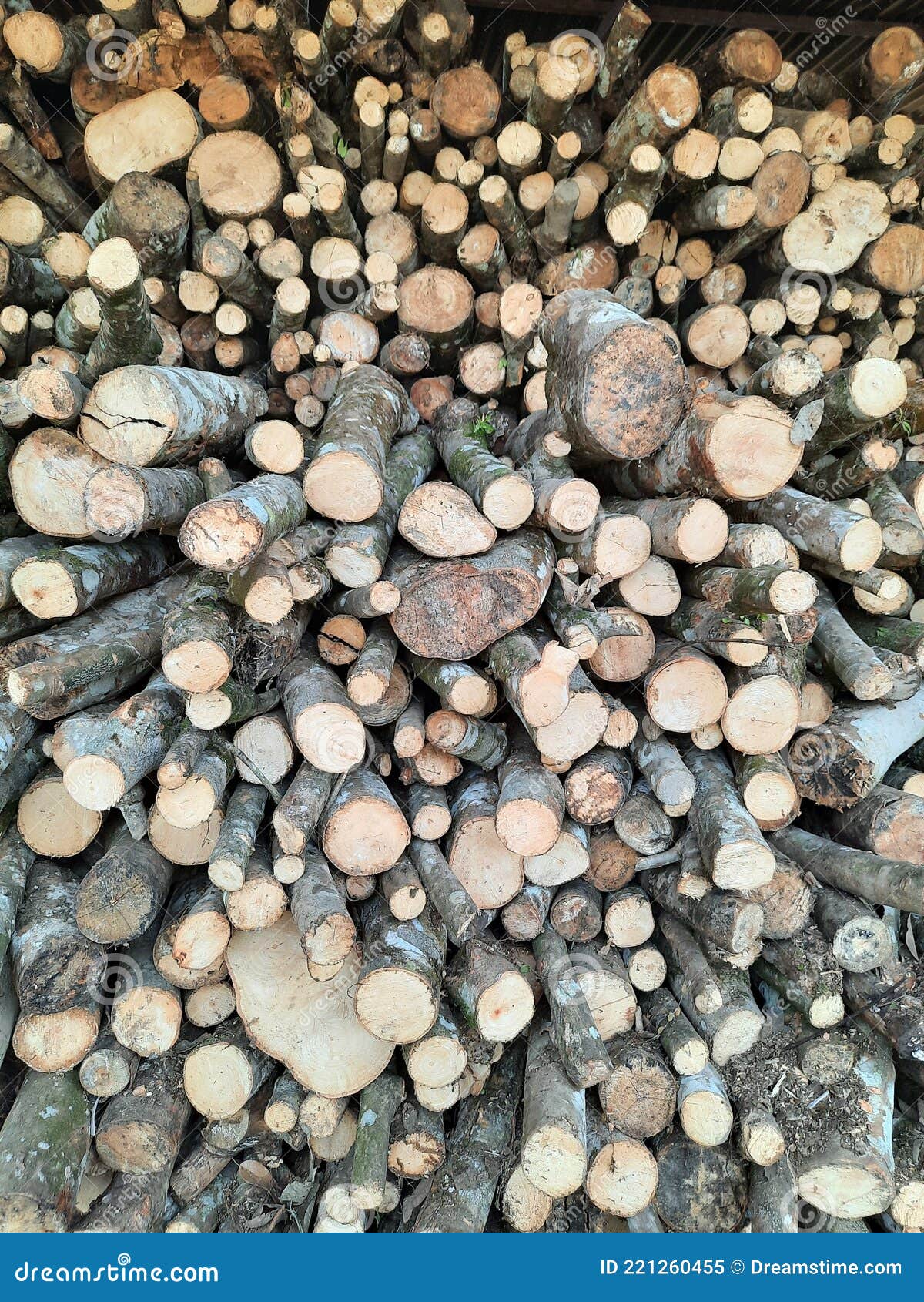 A Stack of Firewood, Beautiful Pattern, Wood Stock Image - Image of ...