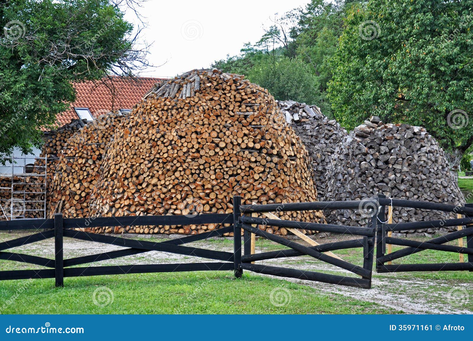 Stack of firewood stock image. Image of rings, nature - 35971161