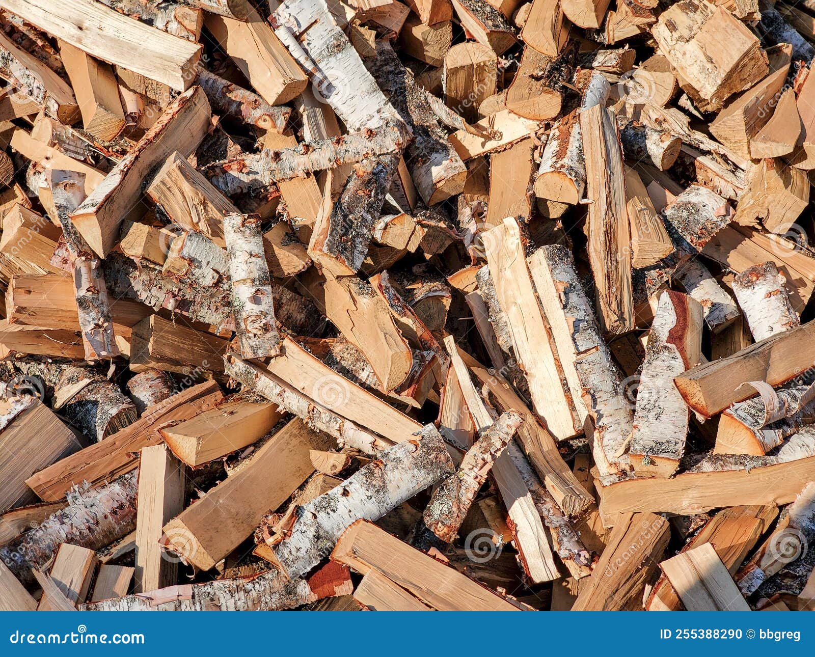 A Stack of Firewood, Log Ends, Chopped Birch and Pine Firewood, Texture ...